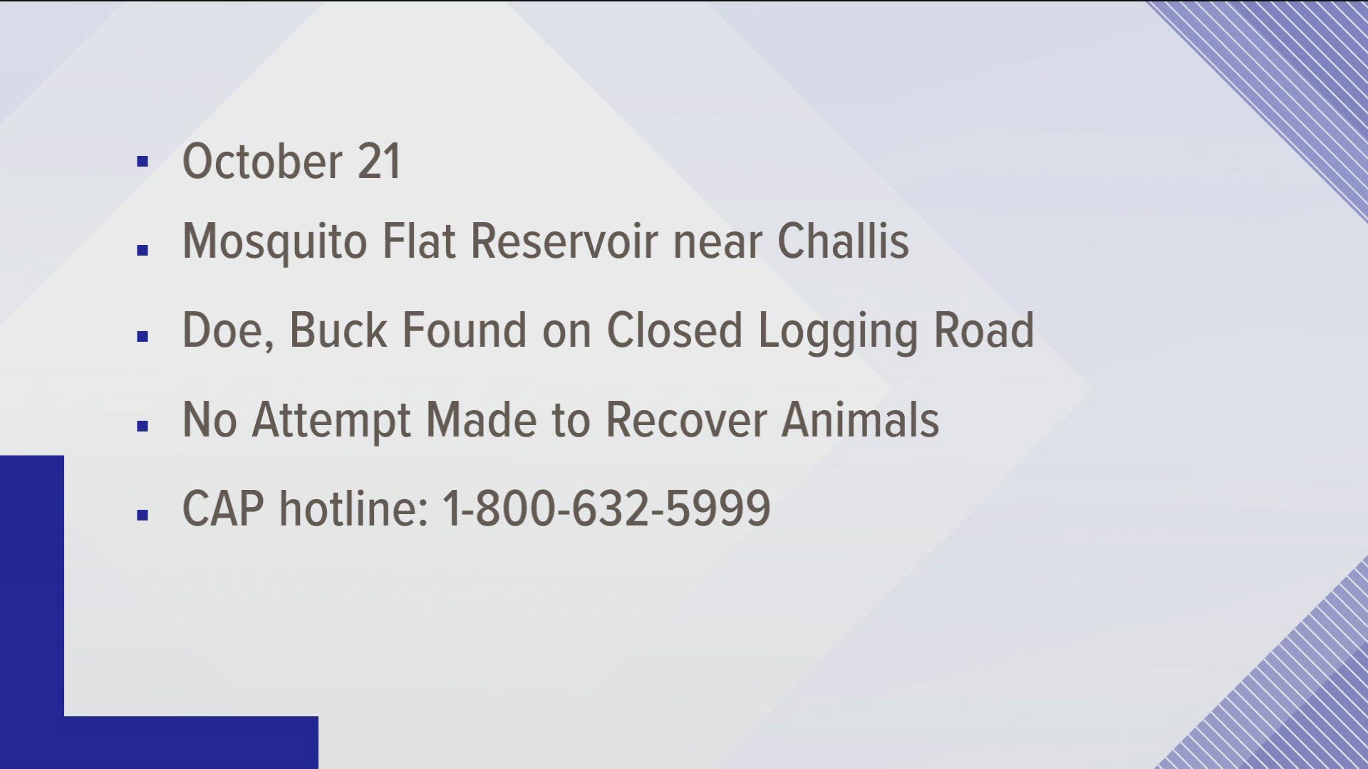 Two deer found shot, left to waste near Challis | ktvb.com