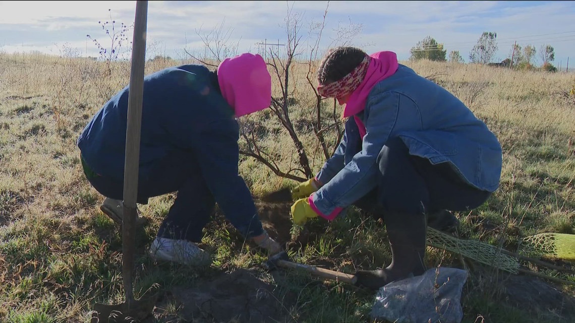 Incarcerated women plant sagebrush at Plex Fire burn scar through ...