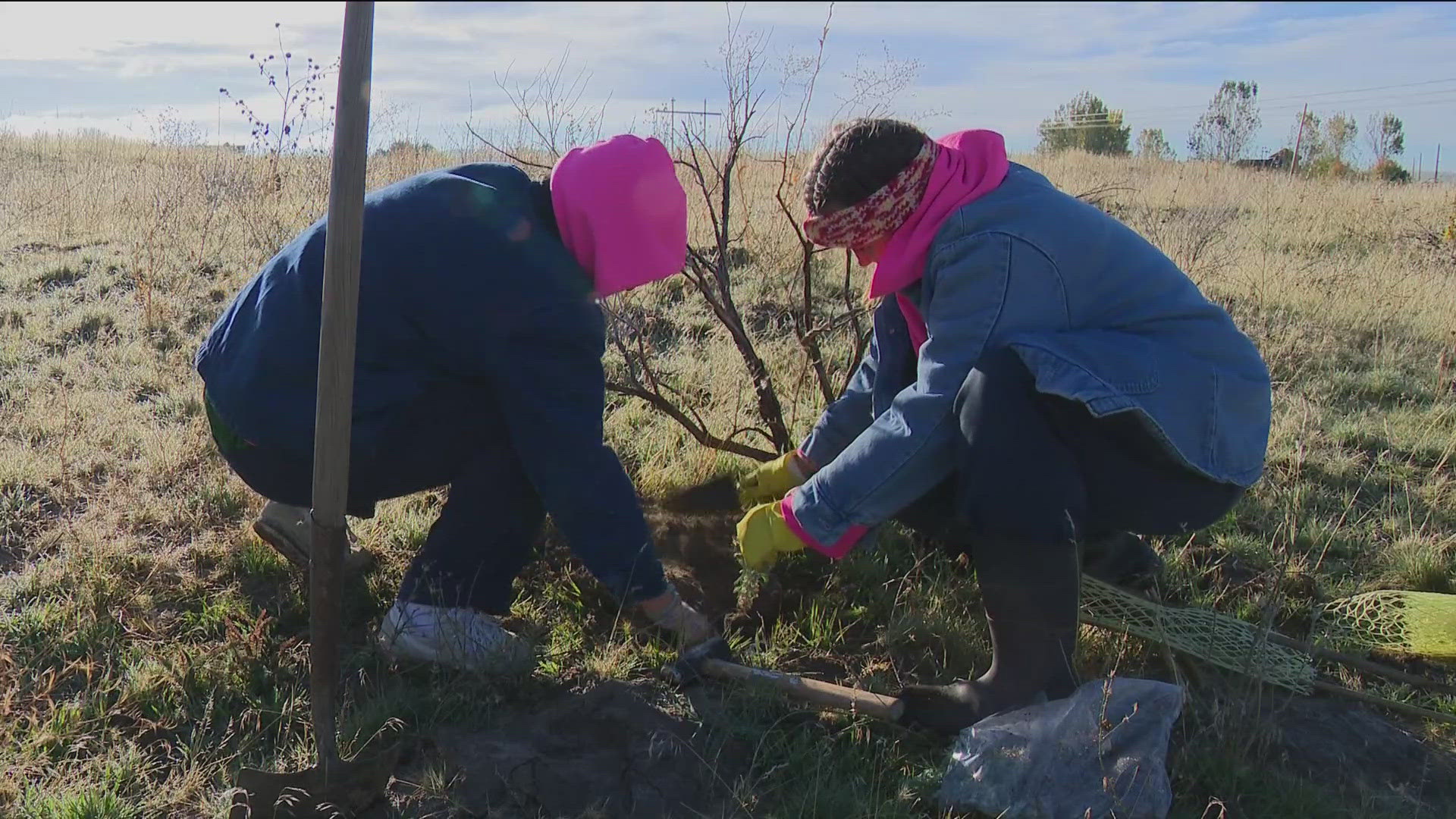 Incarcerated women plant sagebrush at Plex Fire burn scar through ...