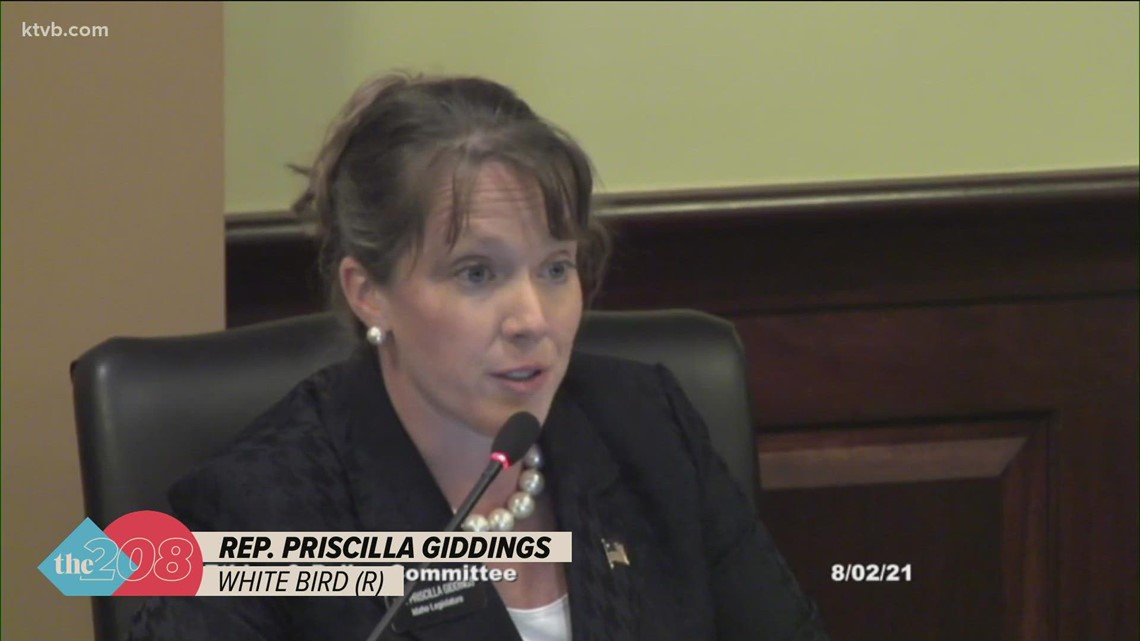 US Air Force takes 'appropriate action' with Idaho Rep. Giddings after ...