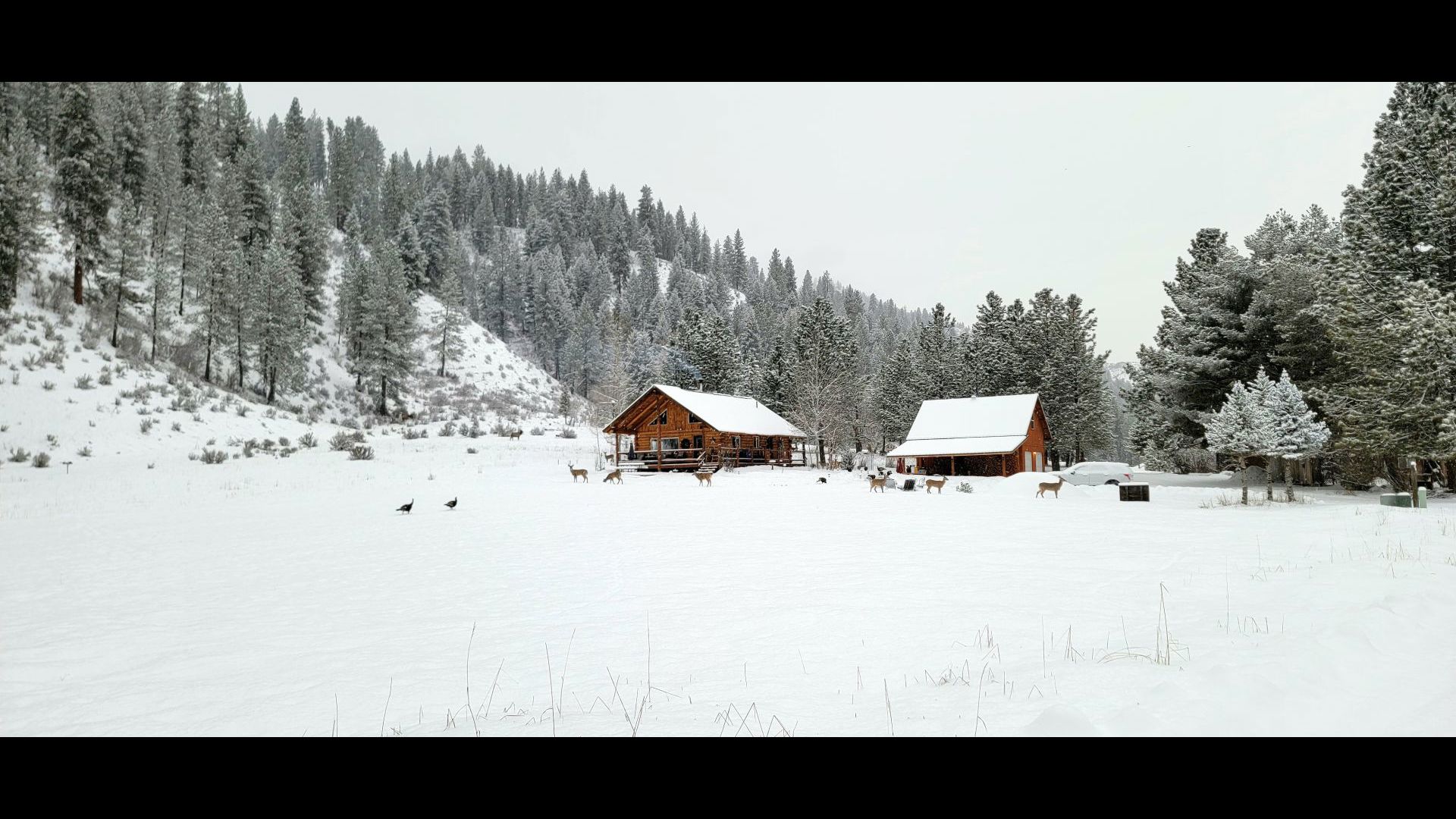 Near Me | Photos and Videos | ktvb.com