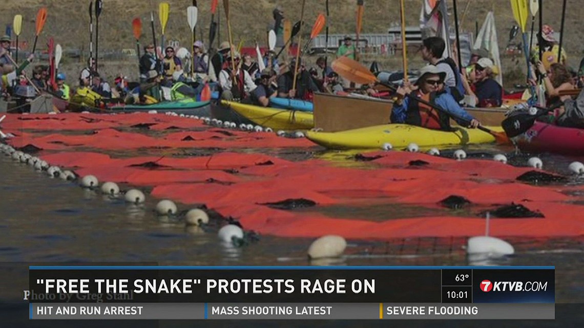 "Free the Snake" protests rage on | ktvb.com