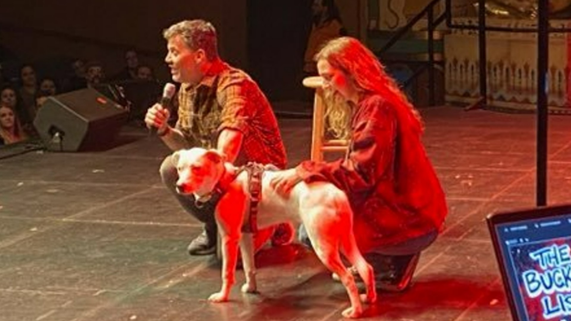 Steve-O helps Idaho Humane Society dog find 'furever' home, owner ...
