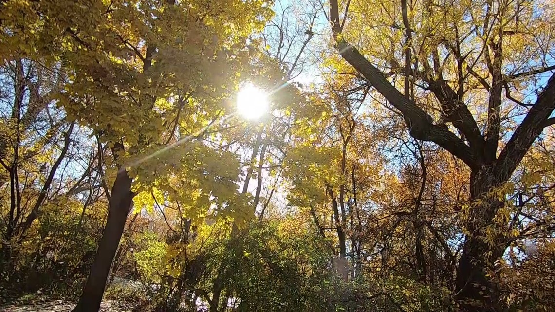How Boise continues to be the City of Trees | ktvb.com