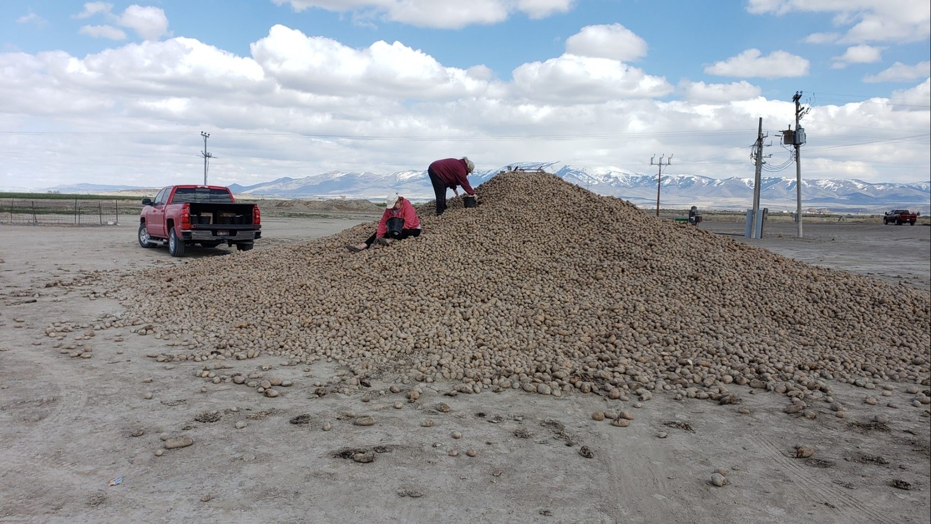 Idaho farm gave away potatoes for free so they wouldn't go to waste ...