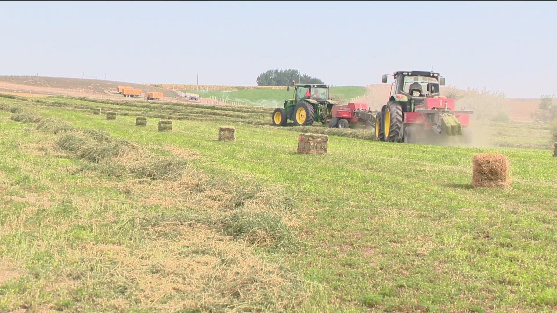 Bill proposed to add more protections to Idaho's 'Right To Farm Act ...