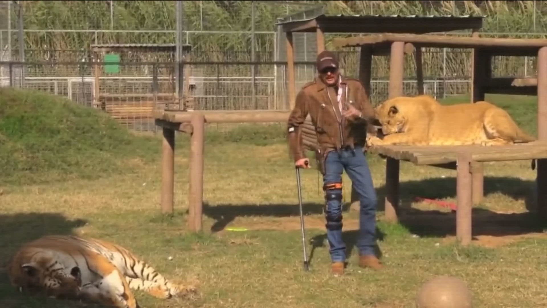 Joe Exotic says he's officially on the Colorado ballot for president ...