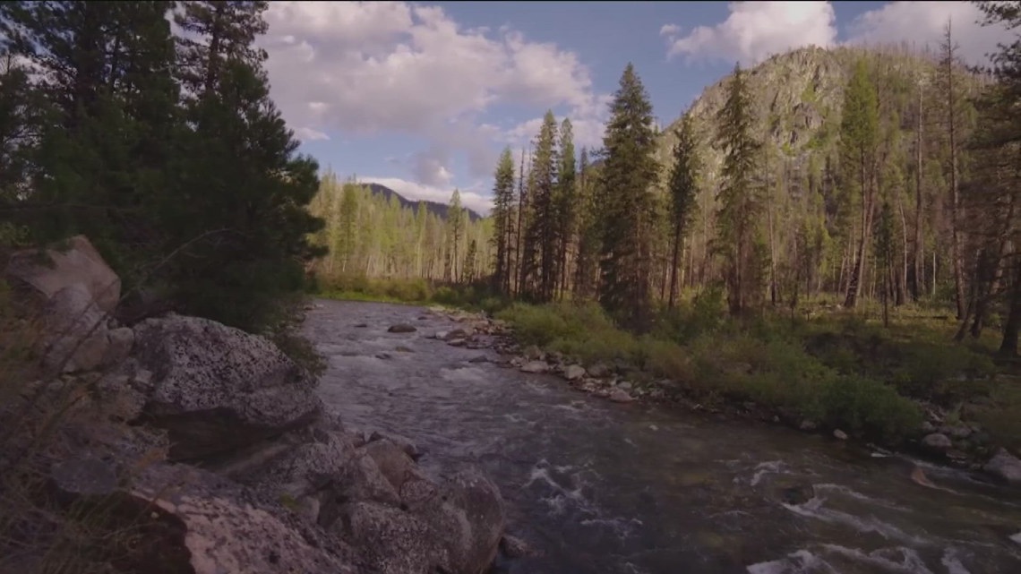 Conservation groups sue U.S. Forest Service over Stibnite Mine project ...