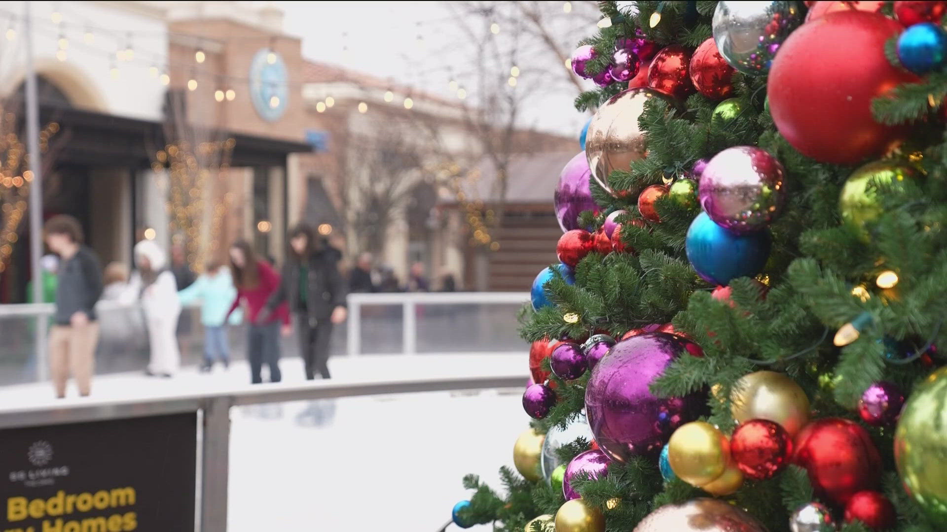 Disney cast member injured preventing 400-pound fake boulder from ...