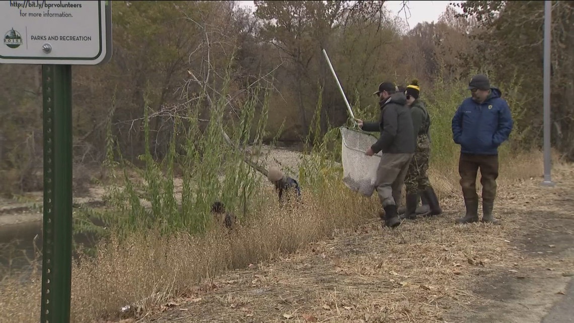 IDFG stocking over 4,500 rainbow trout across the Gem State in December ...