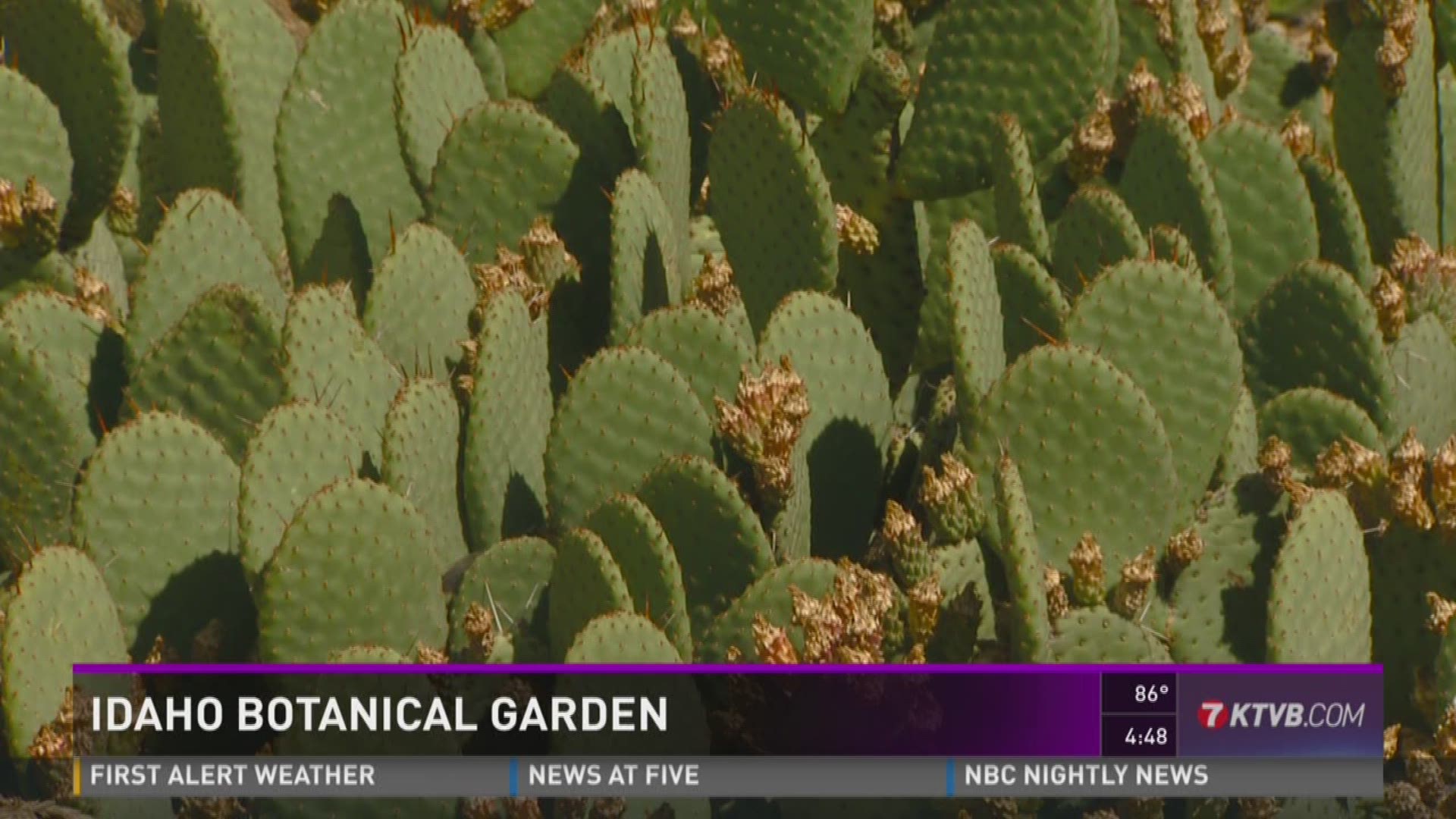You Can Grow It: The Idaho Botanical Garden | ktvb.com