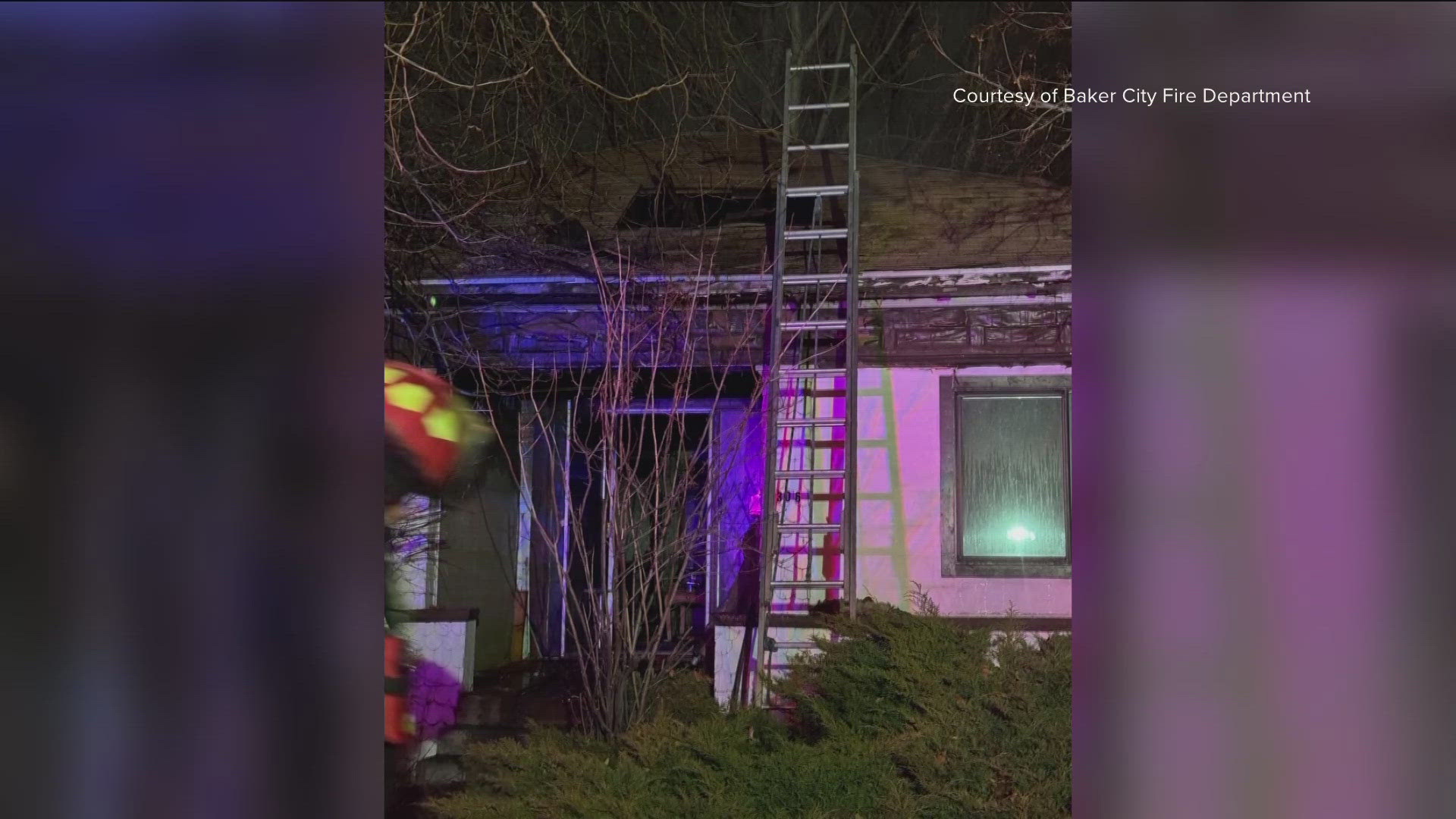 Endangered gray wolf killed in Oregon; $10,000 reward offered for ...