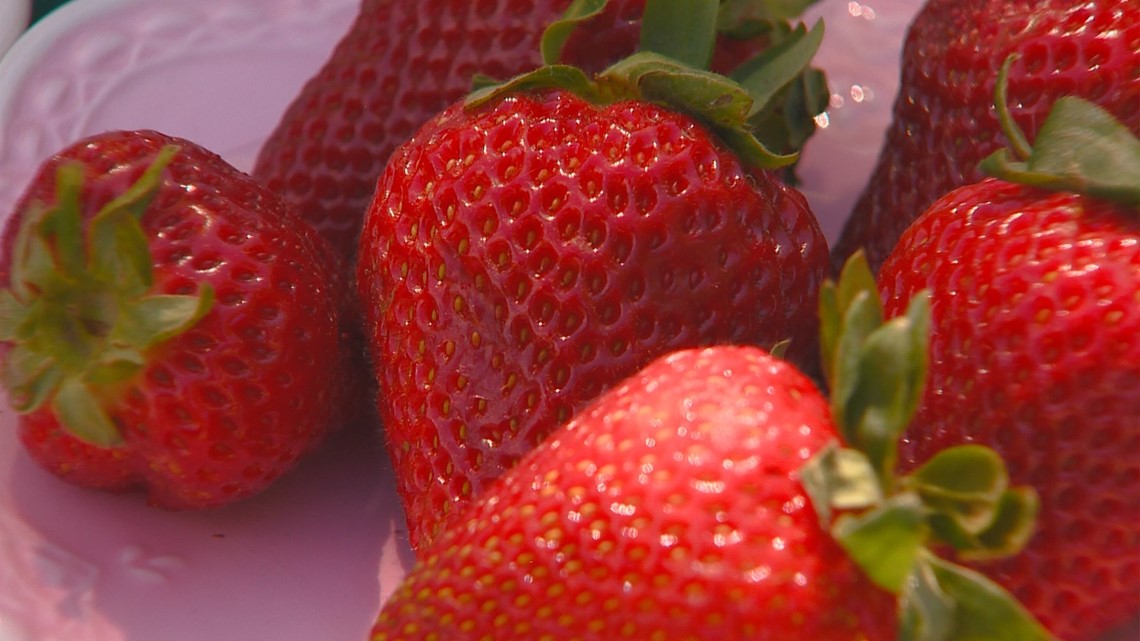 You Can Grow It: The start of summer is strawberry season | ktvb.com