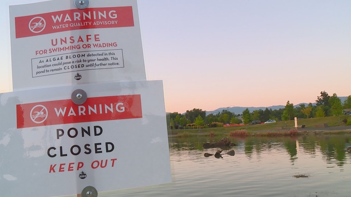 Blue-green algae found at Esther Simplot Park, Pond No. 1 closed | ktvb.com