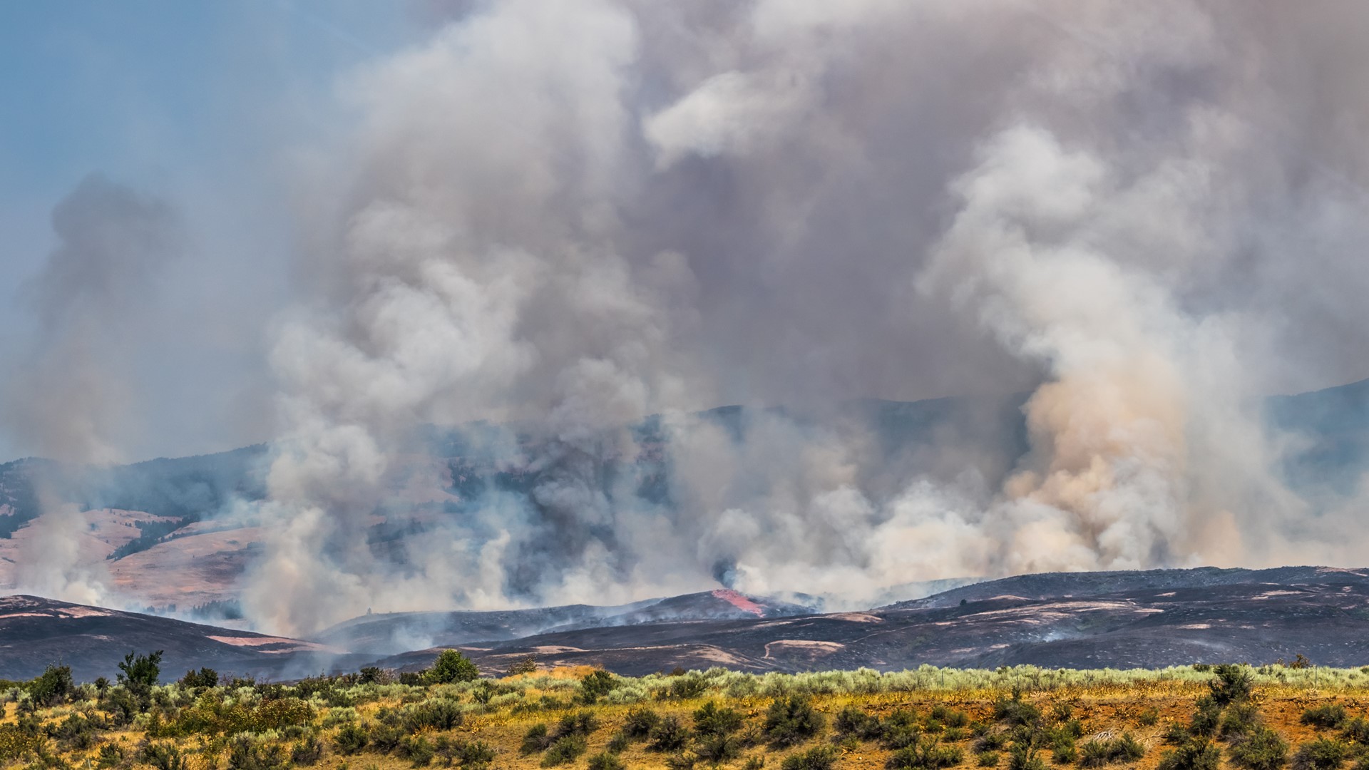 Firefighters battle weather, terrain as Mesa Fire grows to nearly ...