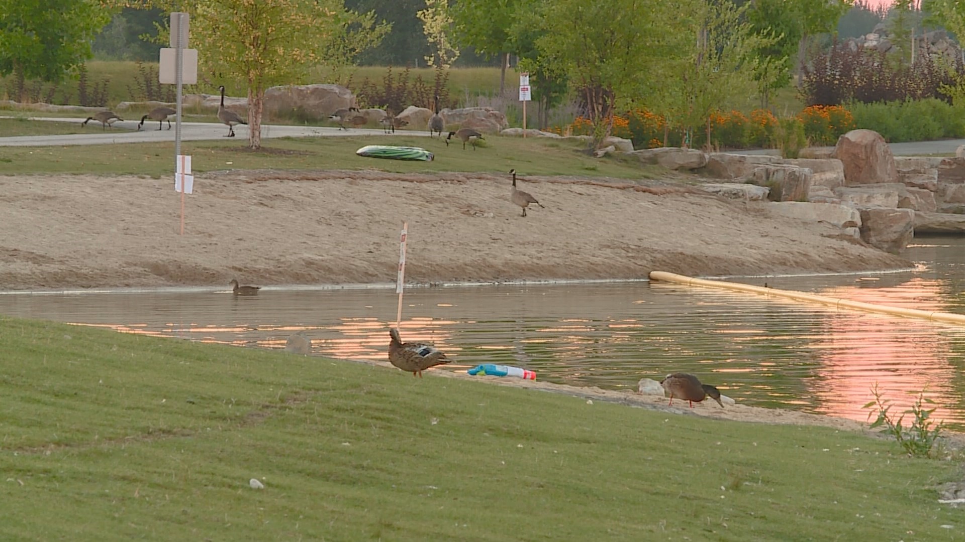 Esther Simplot Pond reopens after algae bloom | ktvb.com