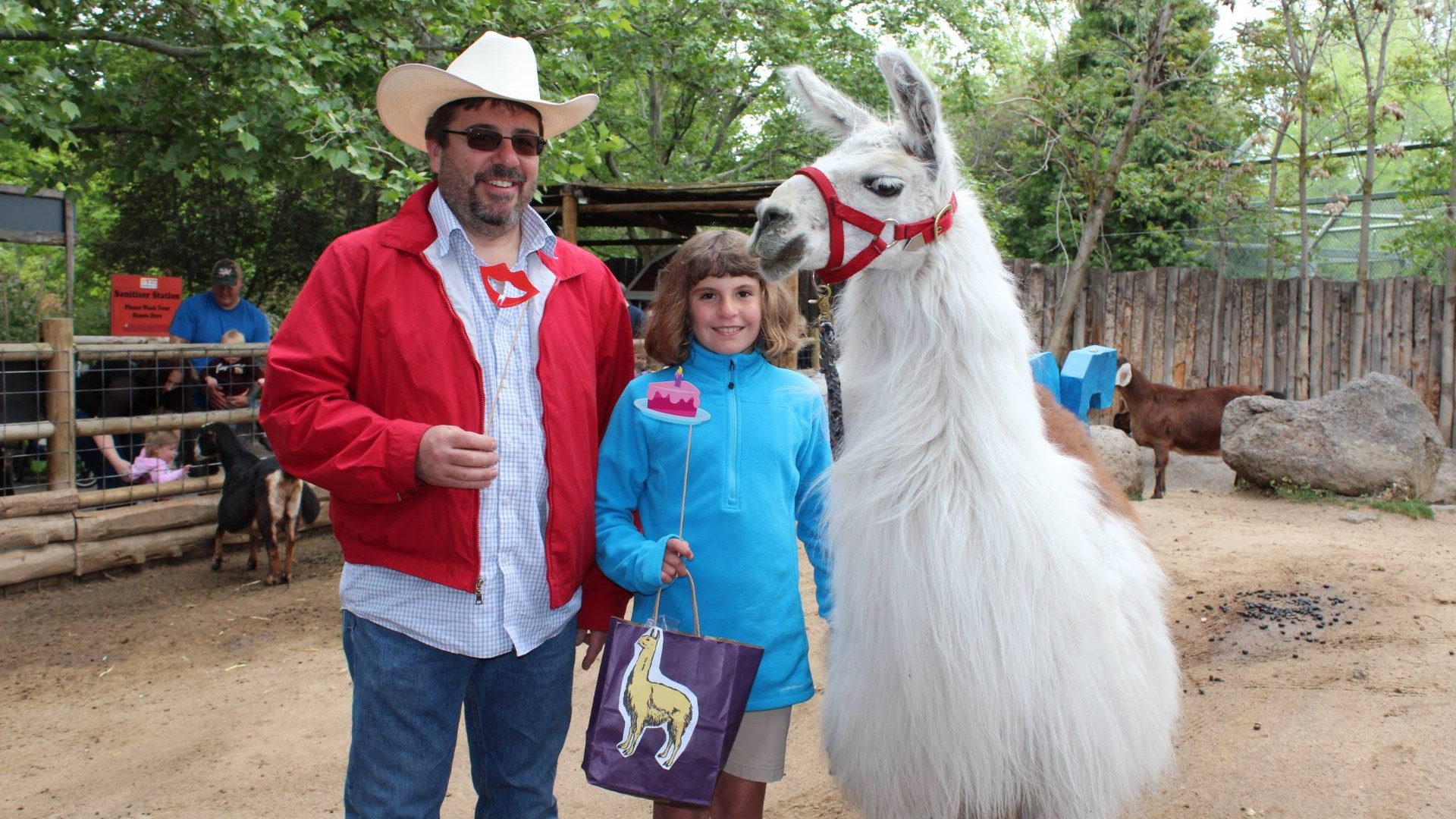 Dean the Llama, the last of Zoo Boise's 'Rat Pack', has died | ktvb.com