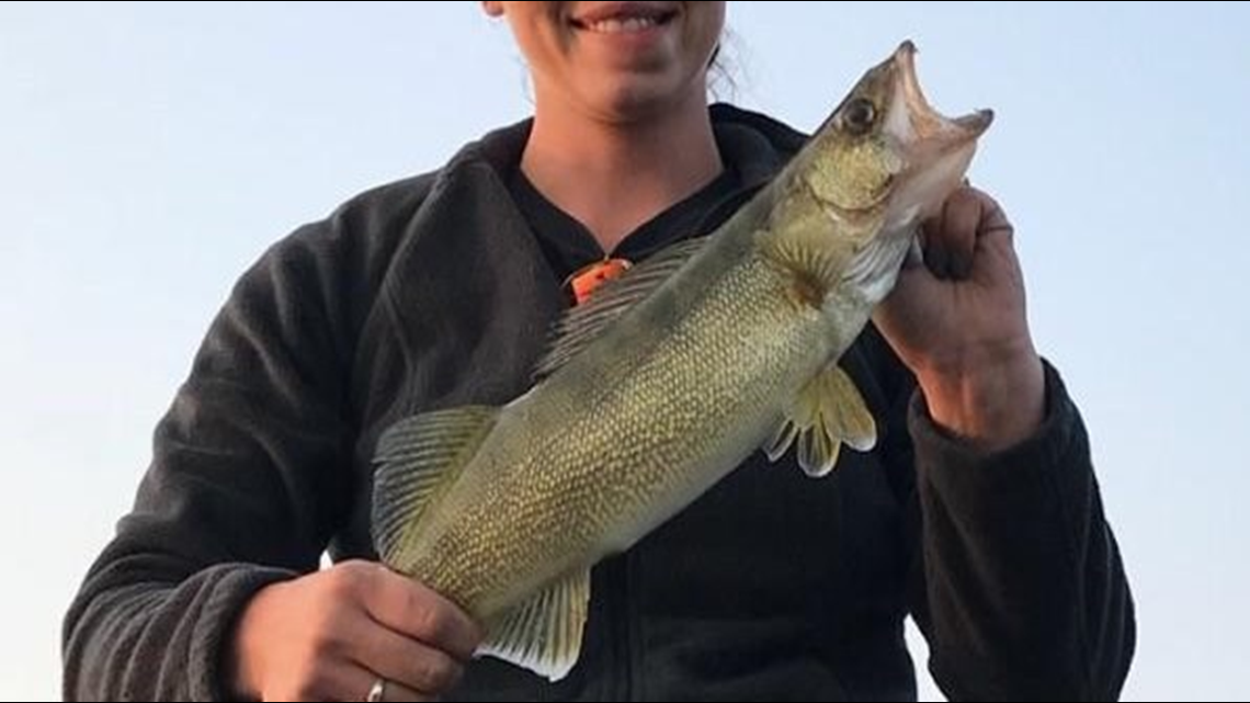Cash reward offered for info about illegal walleye stocking in Lake ...