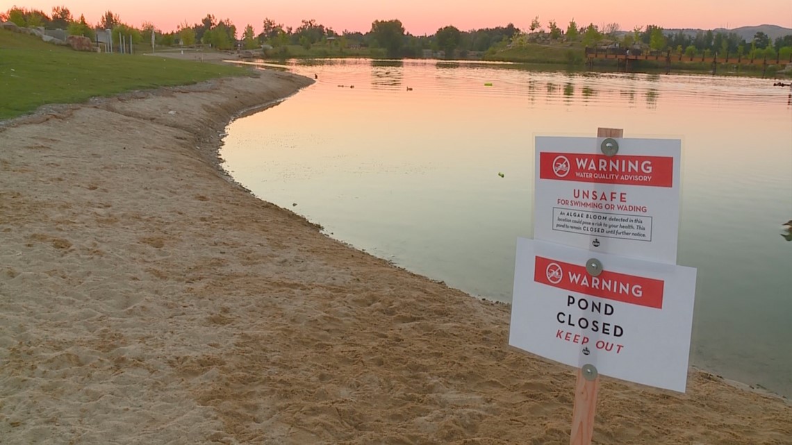 Algae bloom closes ponds at Esther Simplot Park | ktvb.com