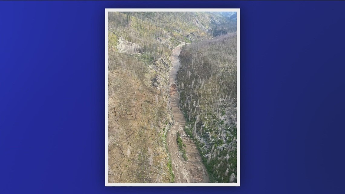 Middle Fork of Salmon River blocked with log jams and debris | ktvb.com
