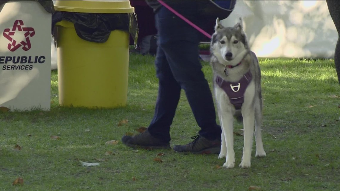 Idaho Humane Society hosts annual 'See Spot Walk' fundraiser | ktvb.com