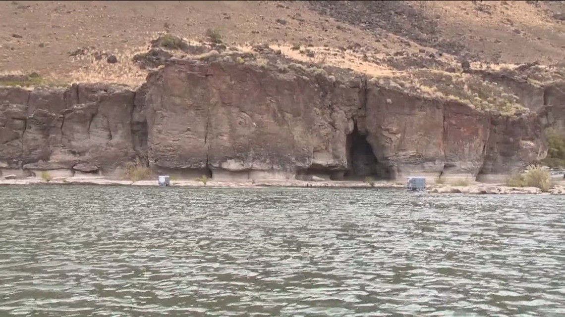 Fish die as Snake River quagga treatment continues | ktvb.com