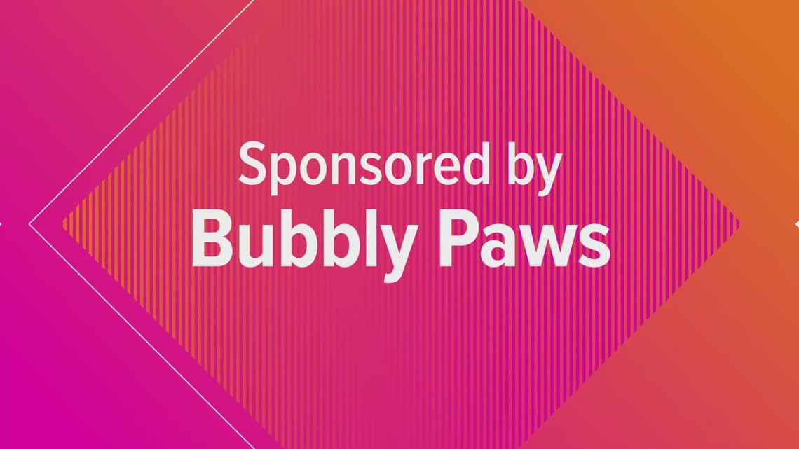 Idaho Today: Bubbly Paws | ktvb.com
