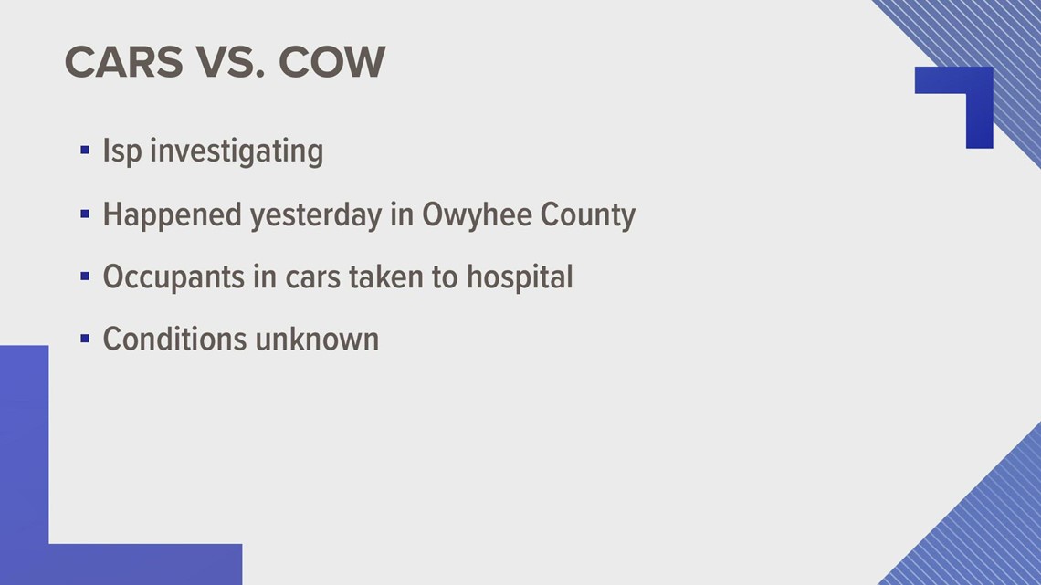 Two vehicle vs. cow collision in Owyhee county | ktvb.com