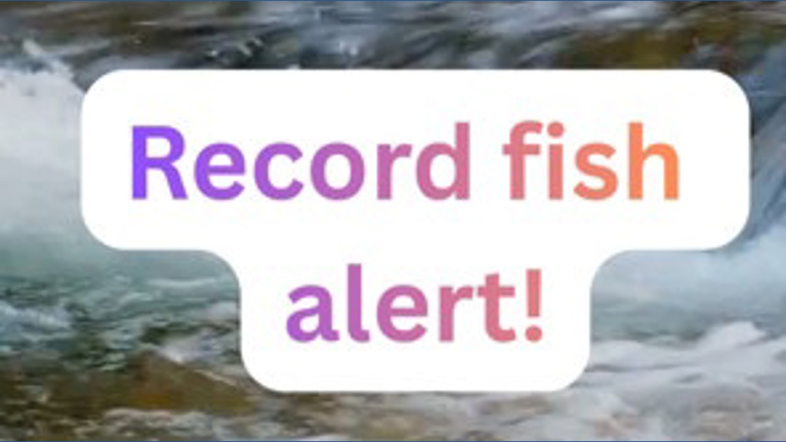 Angler lands state record Yellowstone cutthroat trout | ktvb.com