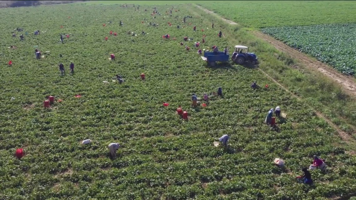 OSHA proposes federal rules to ensure safety of workers in extreme heat ...