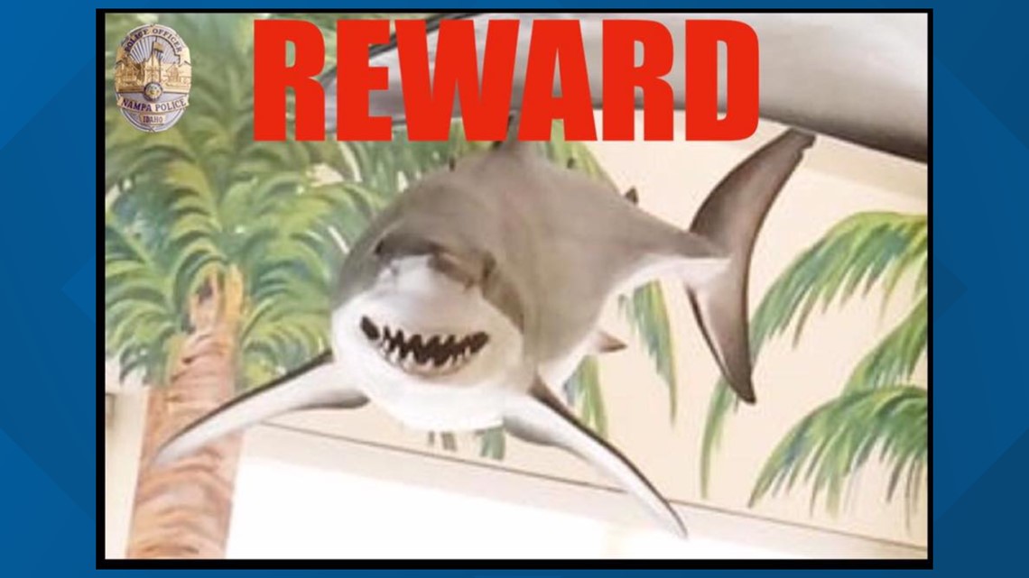 Stolen 5-foot-long shark replica returned to Nampa business | ktvb.com