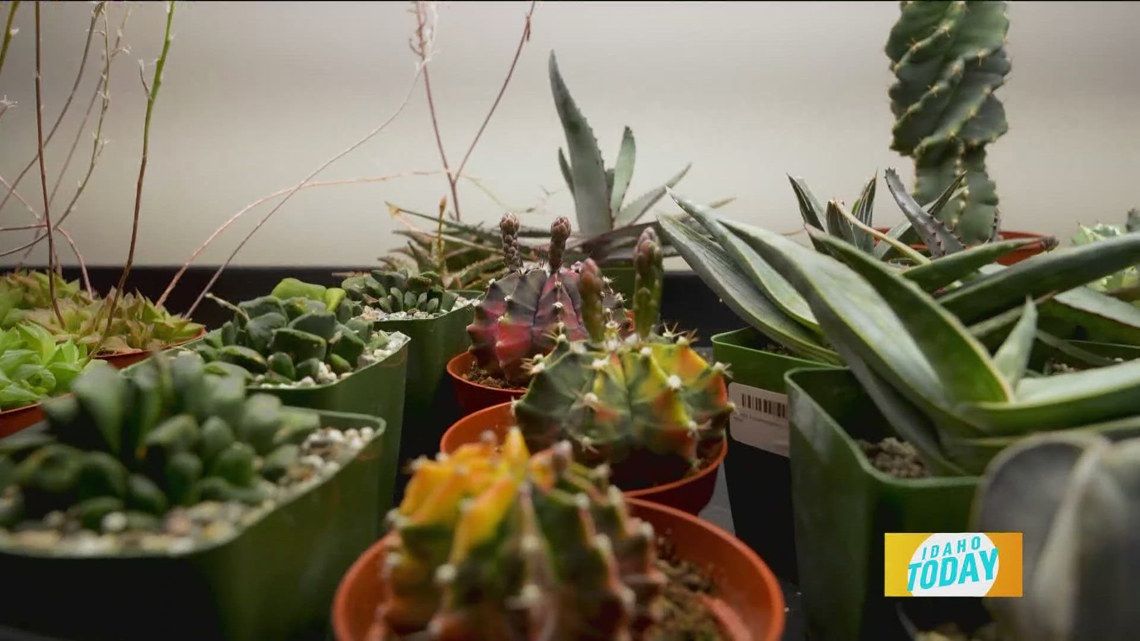 The Boise Flower & Garden Show brings spring to life | ktvb.com