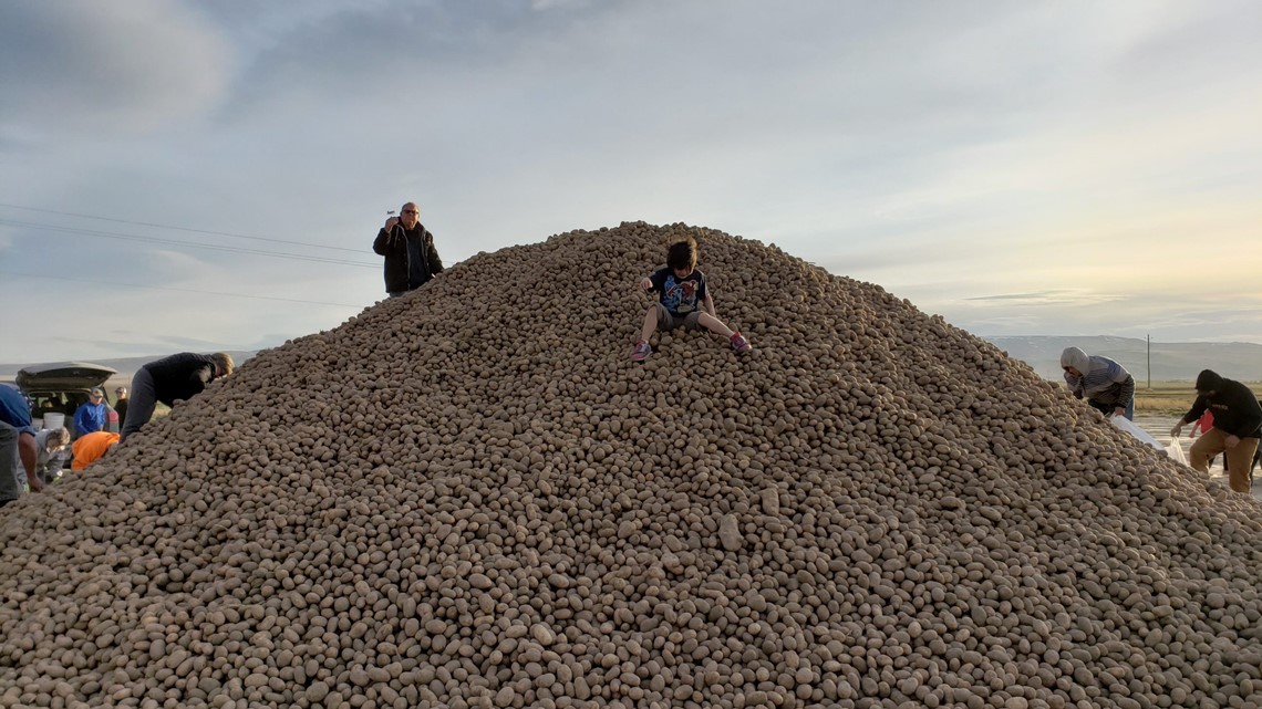 Idaho farm gave away potatoes for free so they wouldn't go to waste ...