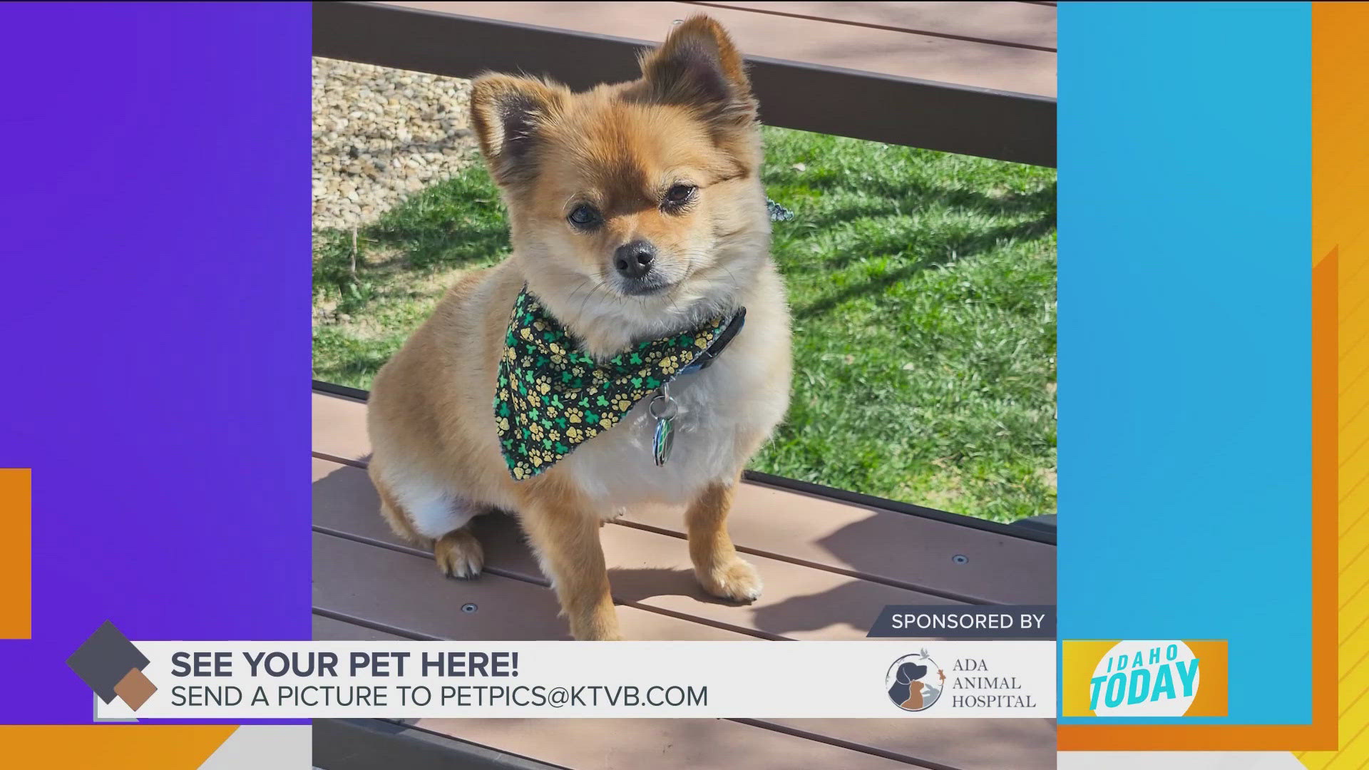 Pet Pics: Buster turns out to be the best medicine | ktvb.com
