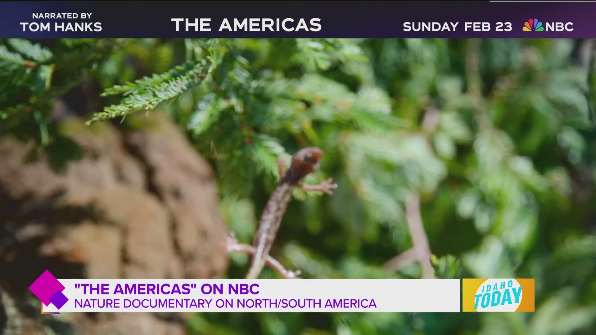 Exclusive: We talk to the EP of NBC's epic nature series "The Americas ...