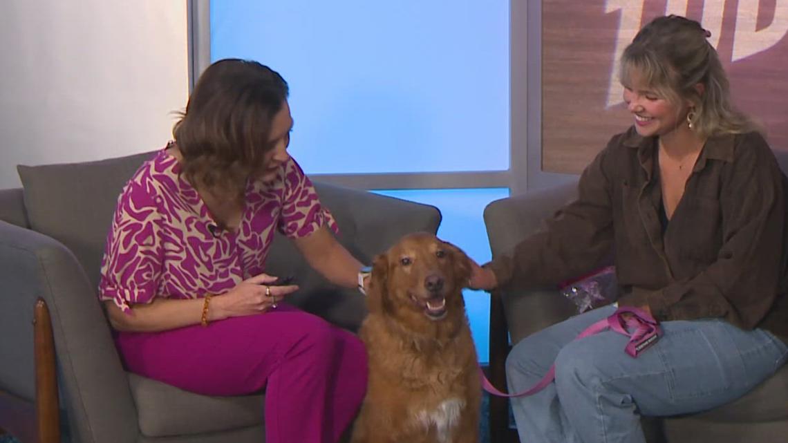 Meet the happiest dog on Earth: Ginger | ktvb.com
