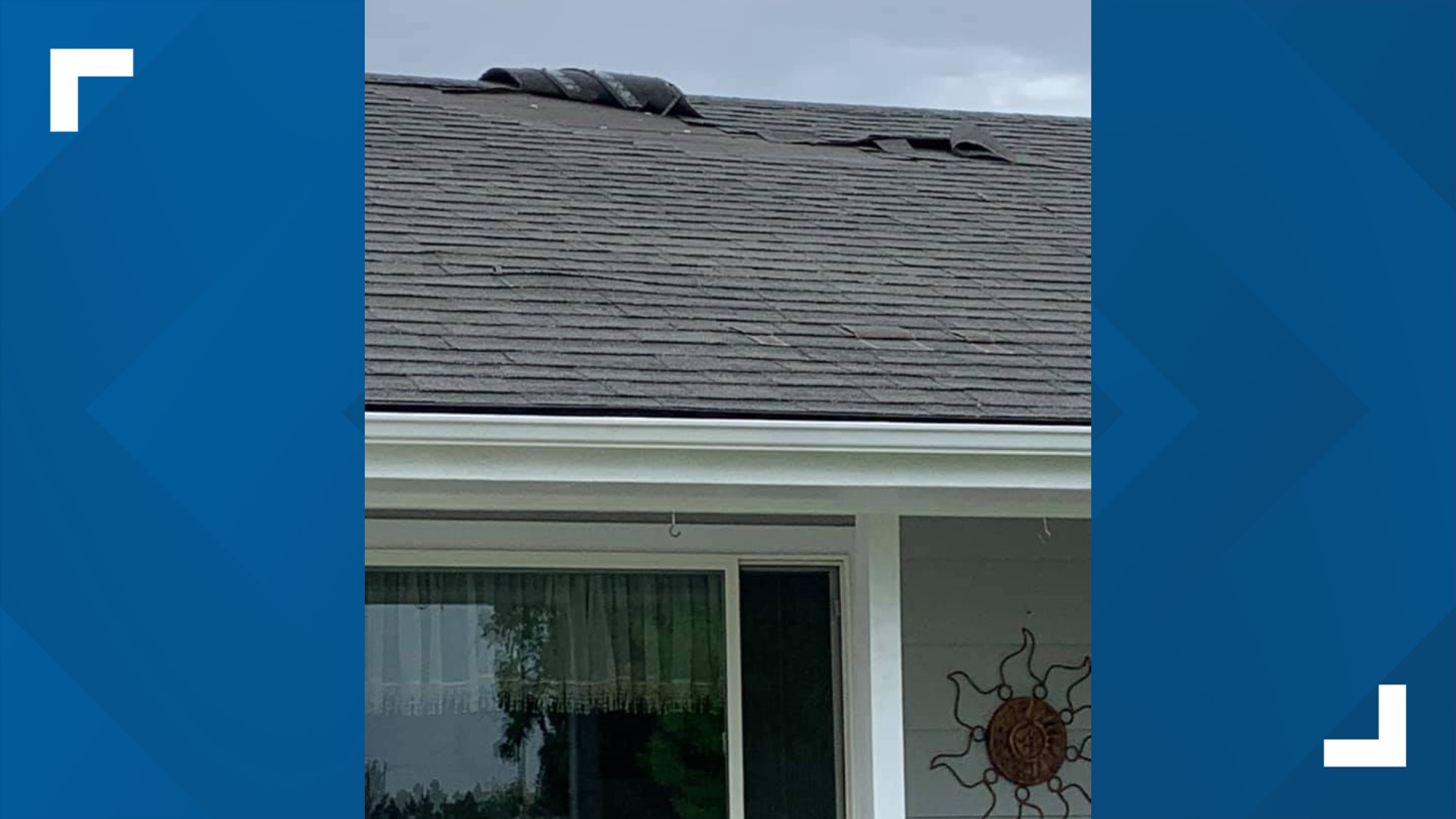 Trees toppled across the Treasure Valley after thunderstorms bring 50 ...