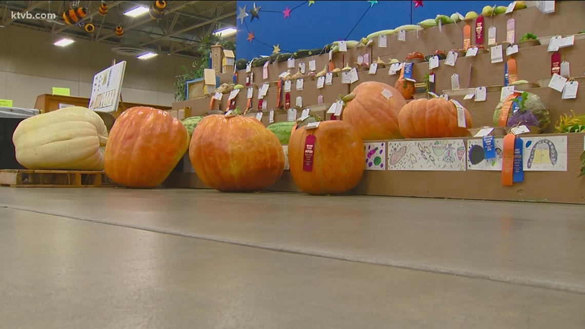 Growing prize winning fruits and vegetables to take to the fair | ktvb.com