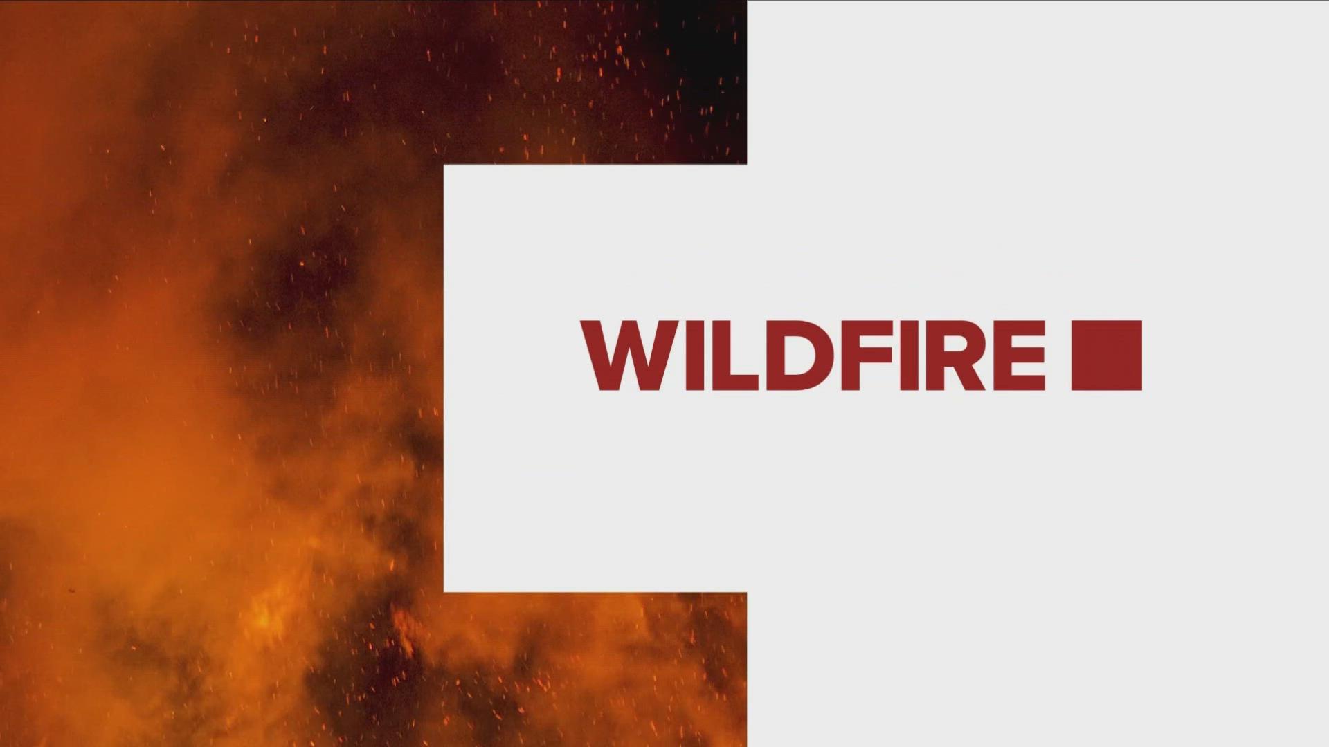 Summit Creek Fire in Sawtooth National Forest surpasses 50% containment ...