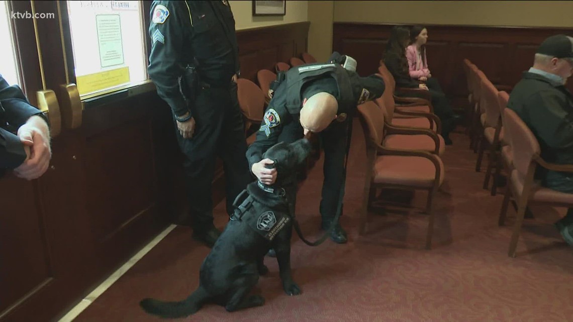 Rupert police first 'electronic detection' K9 in the state | ktvb.com