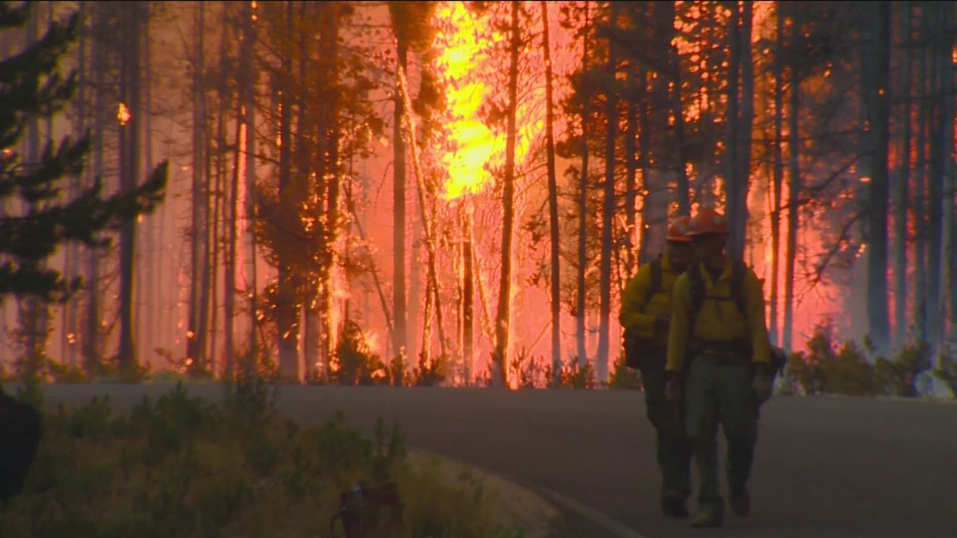 AI cameras help Idaho fire crews detect flames minutes after they spark ...