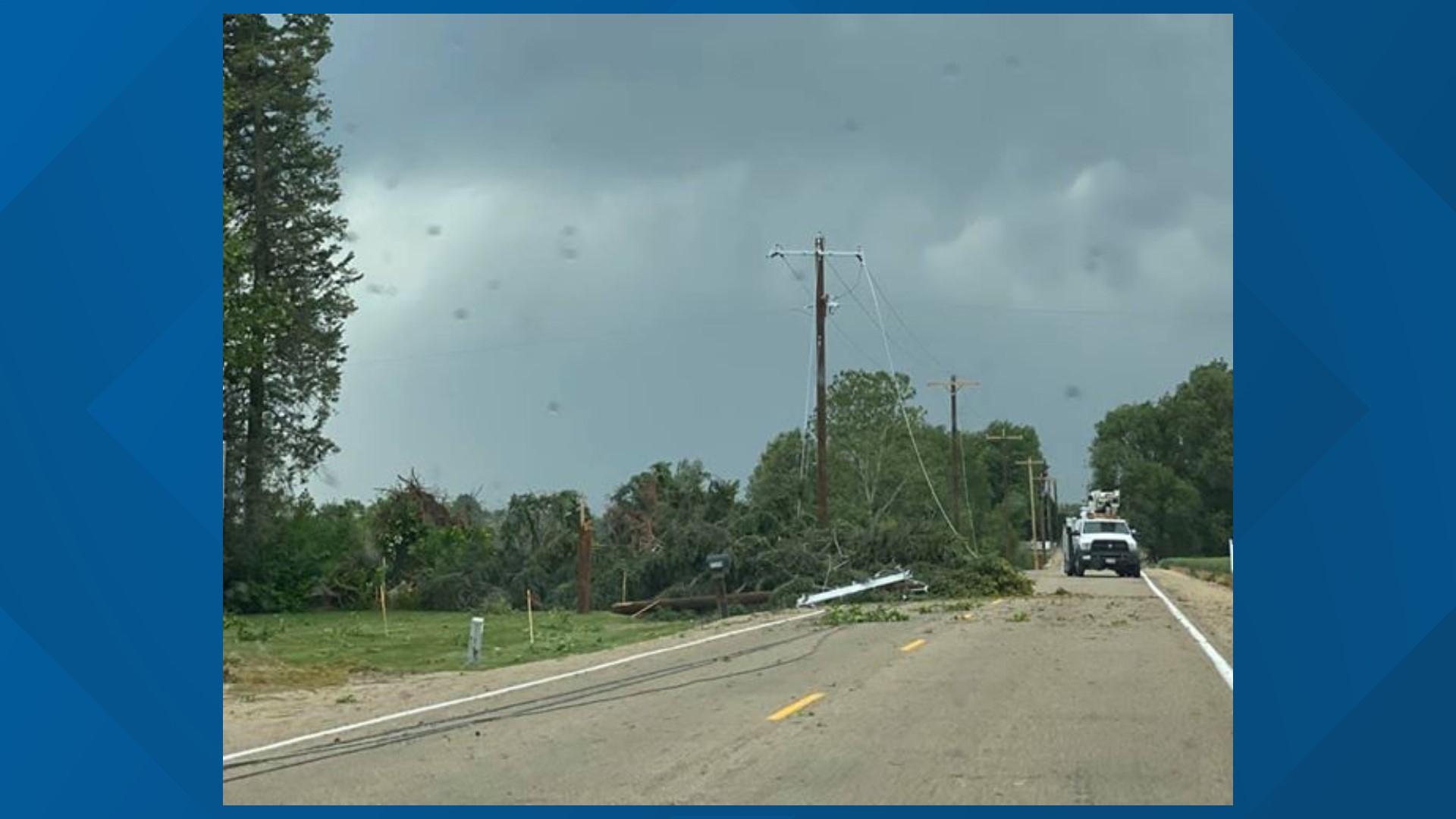 Trees toppled across the Treasure Valley after thunderstorms bring 50 ...