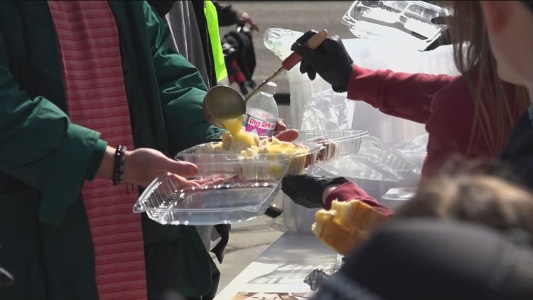 Don't be a jive turkey, flock to the 'Turkey Tracker,' report sightings ...