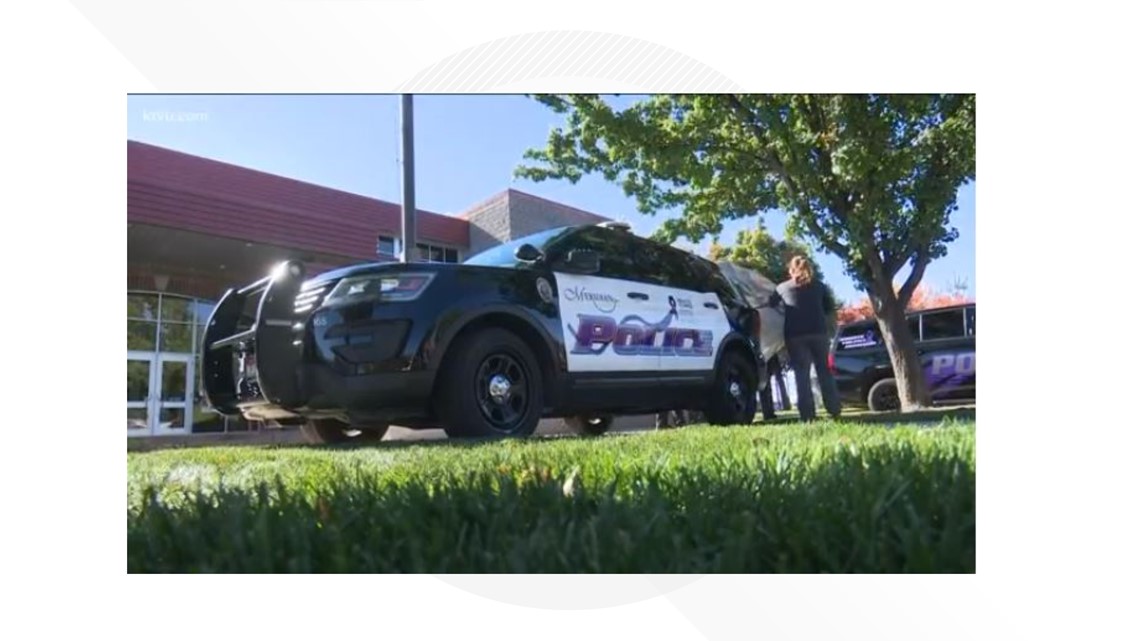 Meridian Police unveils new domestic violence awareness car | ktvb.com
