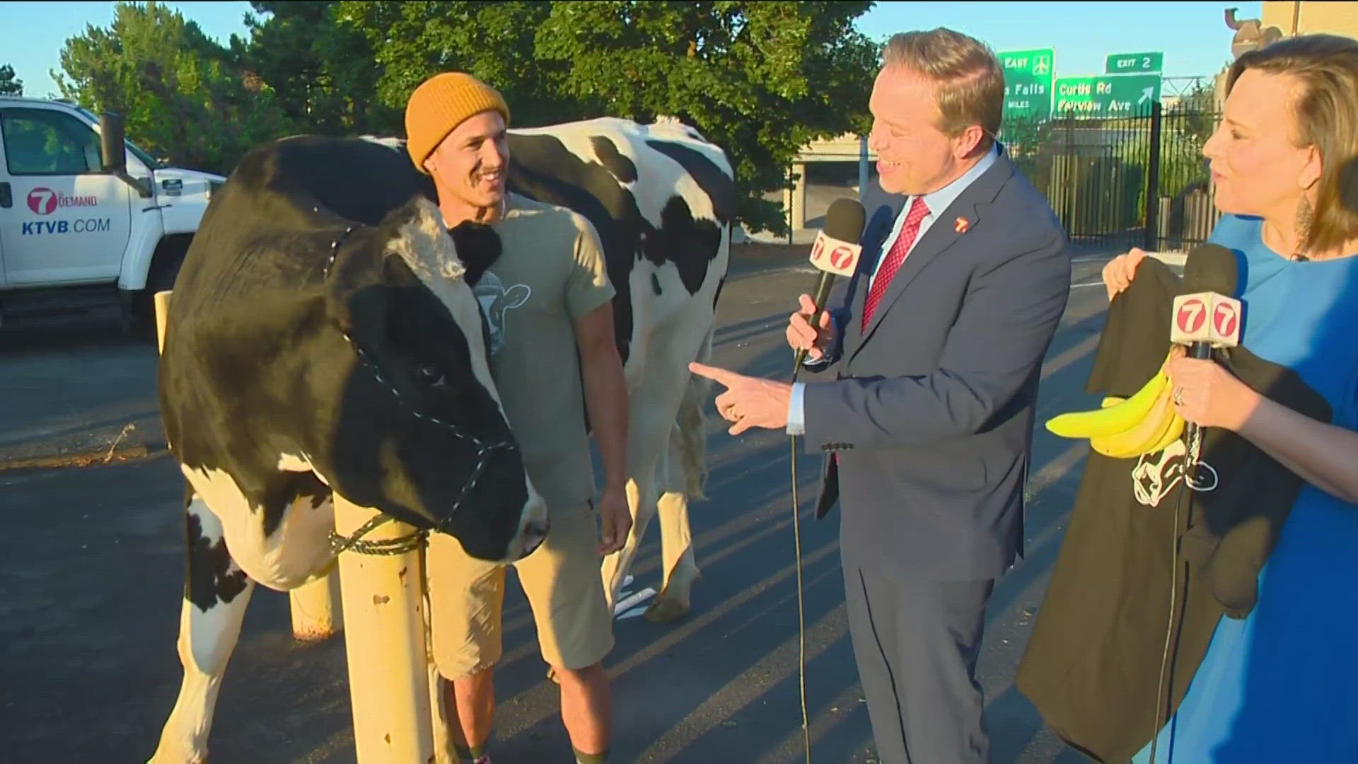 TikTok star Bruce the Cow visits Wake Up Idaho | ktvb.com