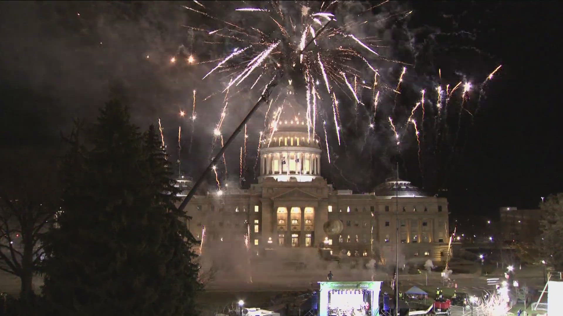 Christmas is over, but what to do with the tree? Here's some ...