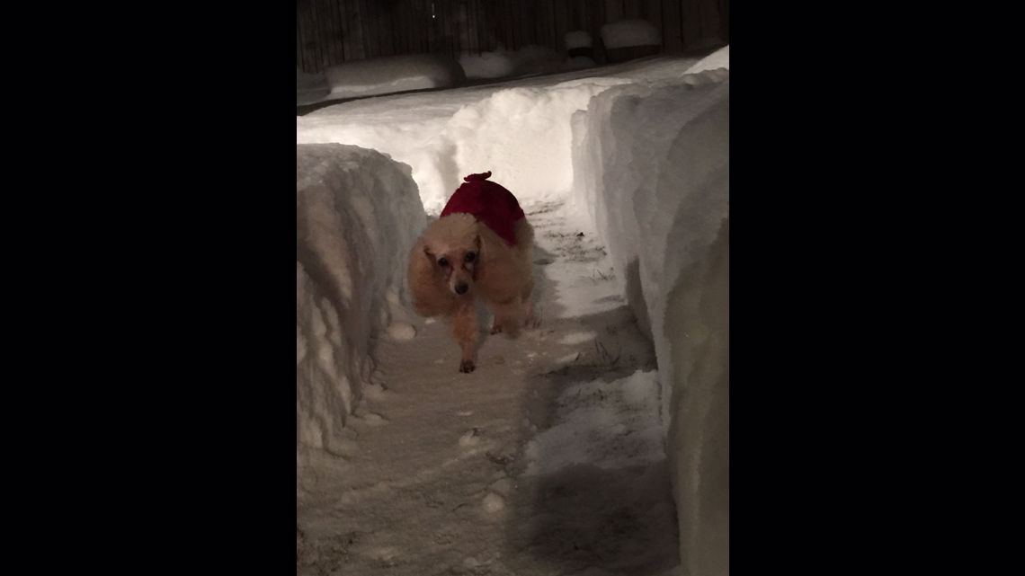 Snowmageddon 2017: Looking back at southern Idaho's epic snowy winter ...