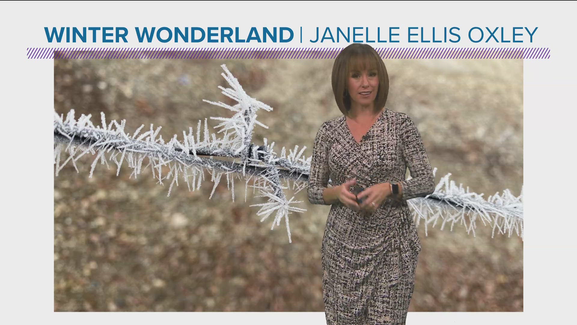 What's the difference between rime ice and hoarfrost? Rachel Garceau ...