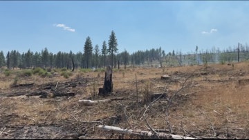 Wildfires News | ktvb.com