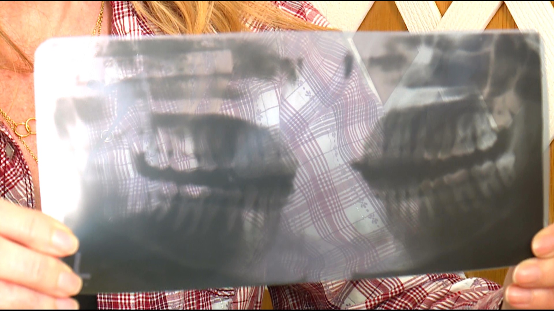 No evidence found in dig for connection to missing Idaho woman | ktvb.com